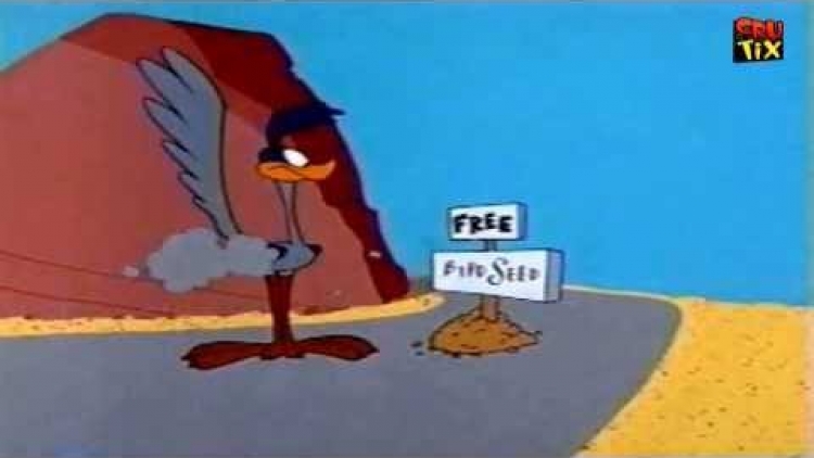 Looney Tunes - Road Runner - Kids-Tube.nl