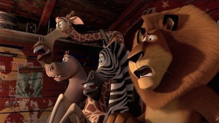 Madagascar - Afro Circus - Kids-Tube.nl