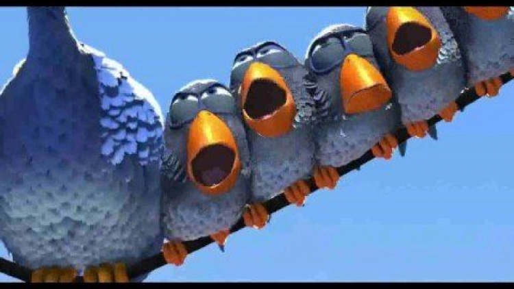 Korte Animatiefilmpjes - Pixar For the Birds - Kids-Tube.nl