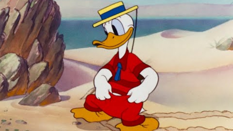 Donald Duck - Strand Picknick - Kids-Tube.nl